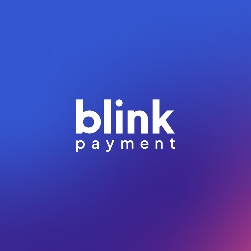 Secure online payment processing | Blink Payment
