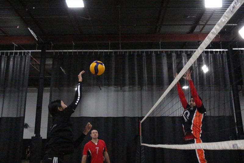 20 Interesting Volleyball Facts You Probably Didn't Know - Javelin Sports