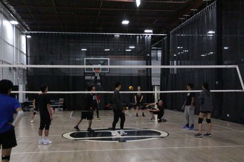 The Significance of Teamwork in Volleyball - Javelin Sports