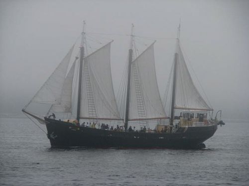 Boat Tours | Sightseeing Tours | Shore Excursions | Halifax, NS