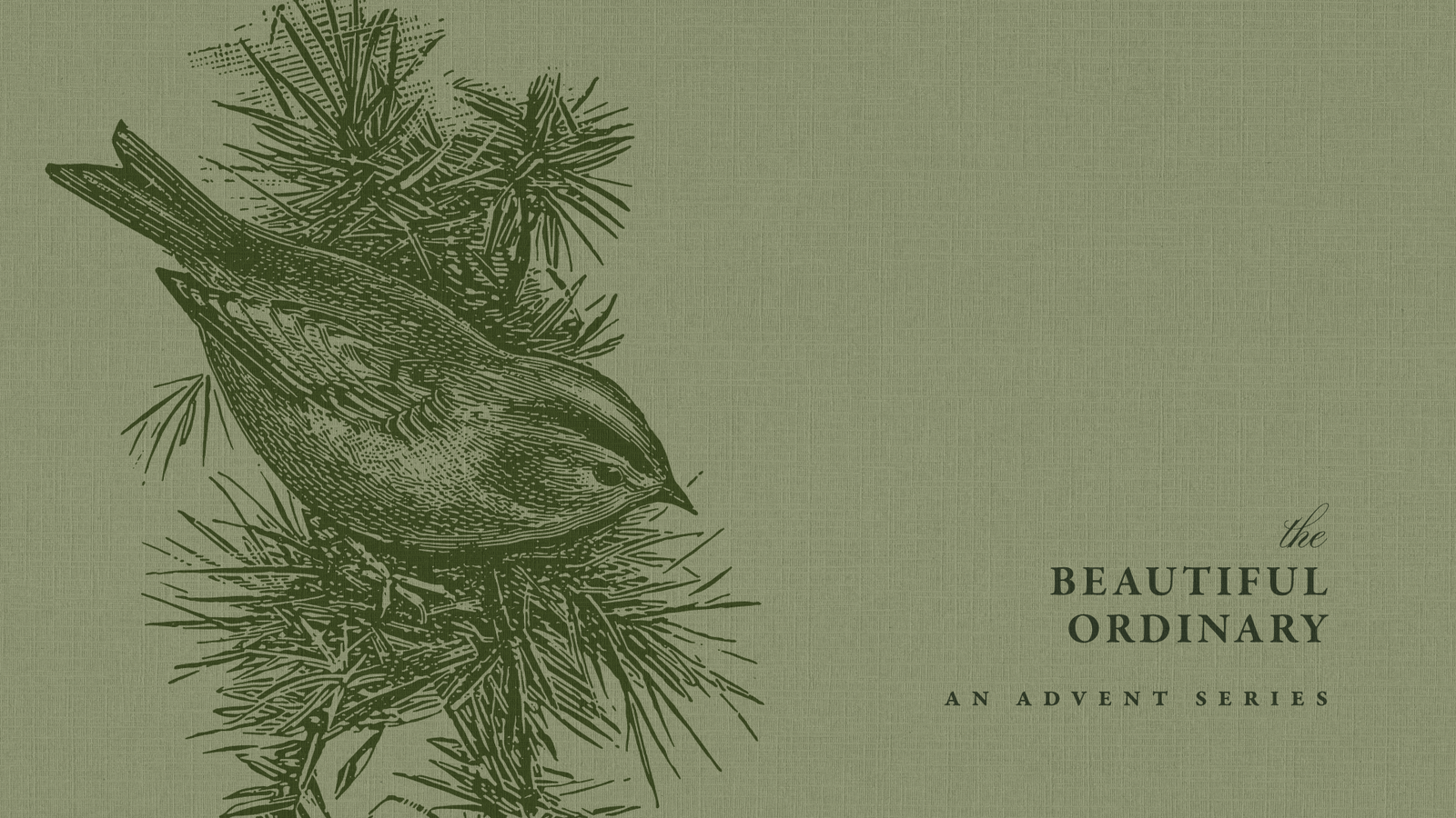 The Case for the Shepherds vs Caesars | Julia Pickerill