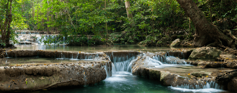 The ACCU market in 2024: A review of the biggest volume year in the ...