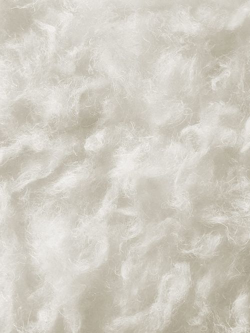 Bast Fibre Technologies — Technical Natural Fibre