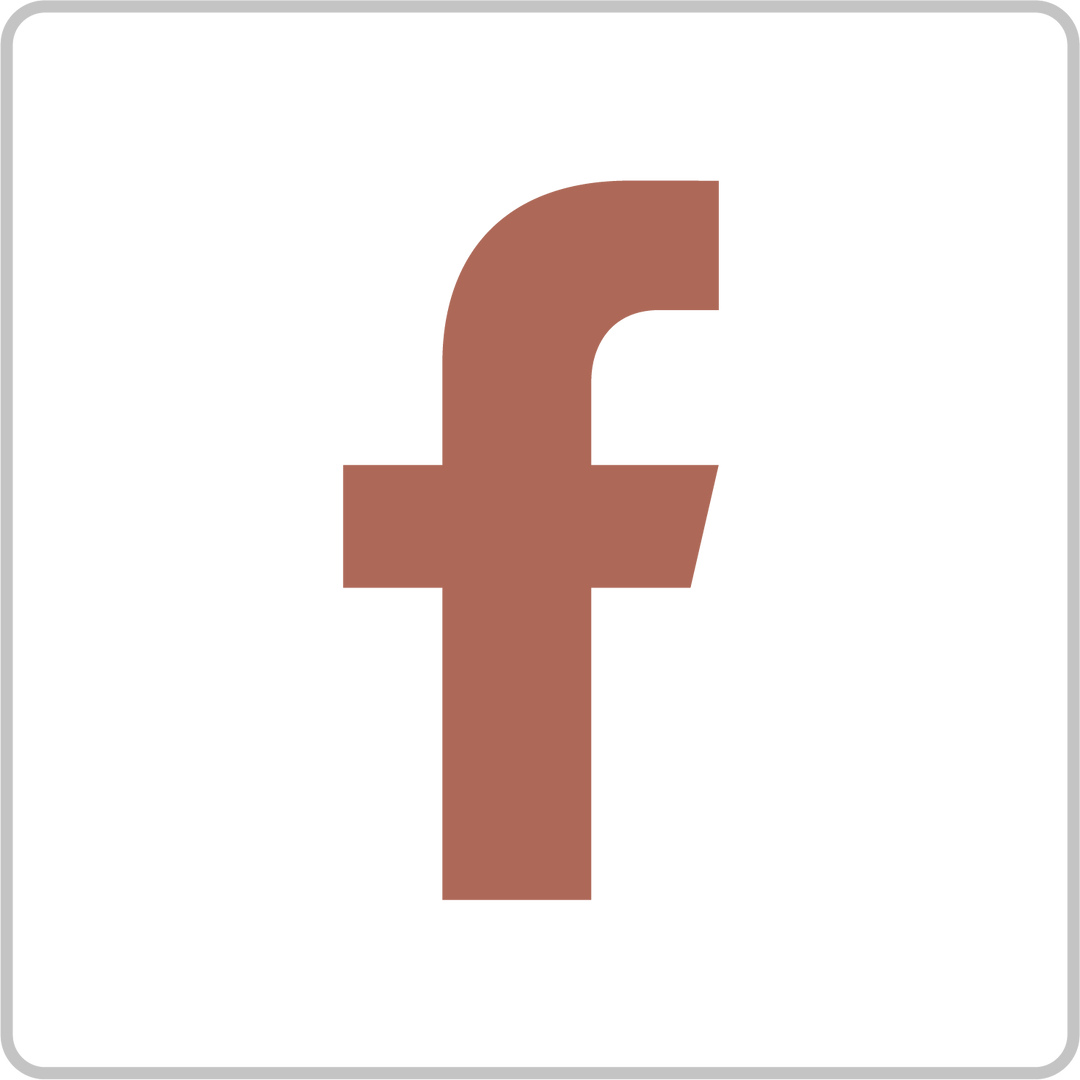 Clay Hollow Bricks, Porotherm Bricks