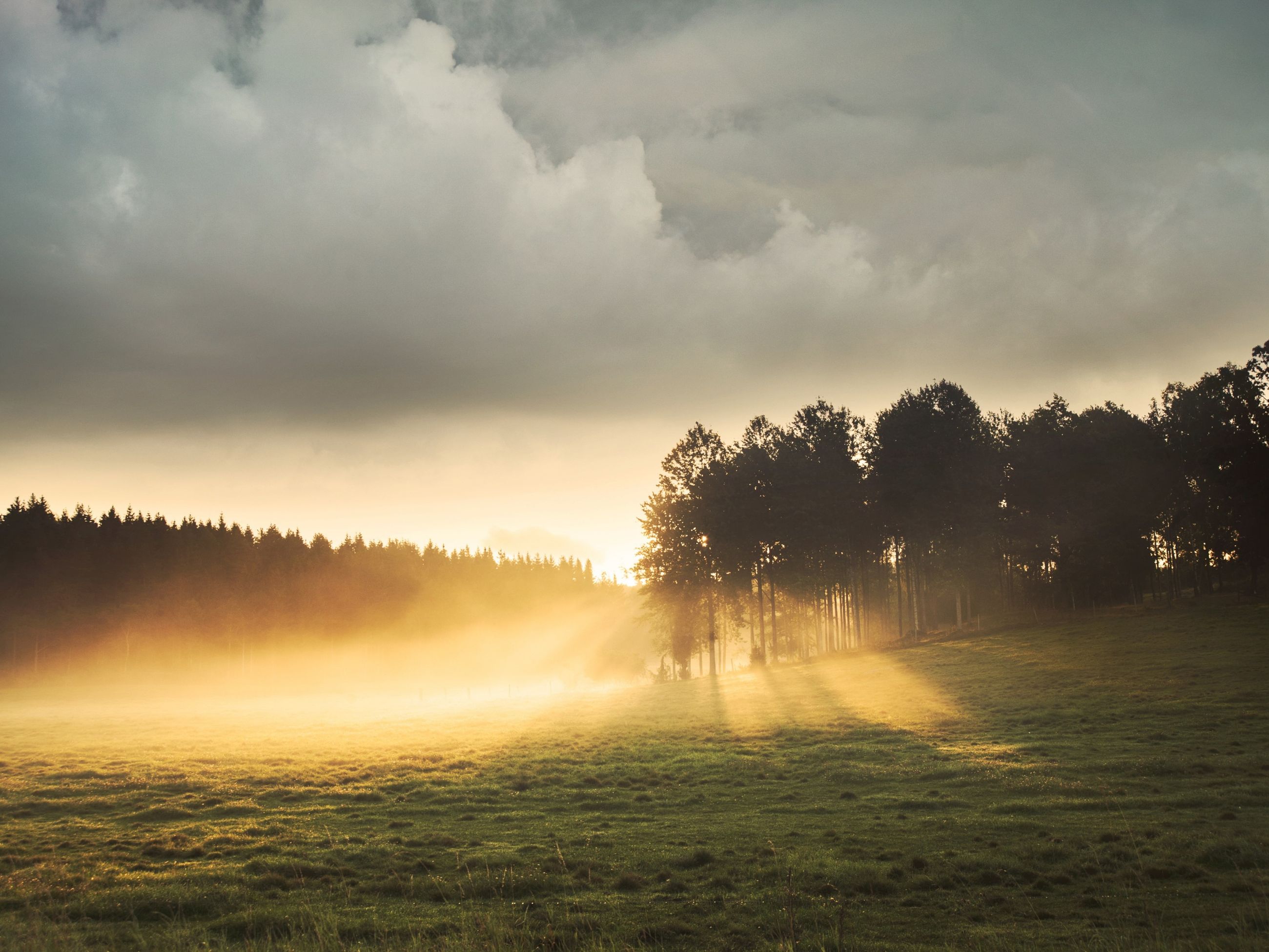 New impact venture Syre launches with a mission to decarbonize textile ...