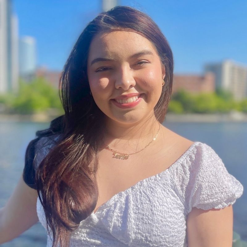 Steppingstone - Our Team