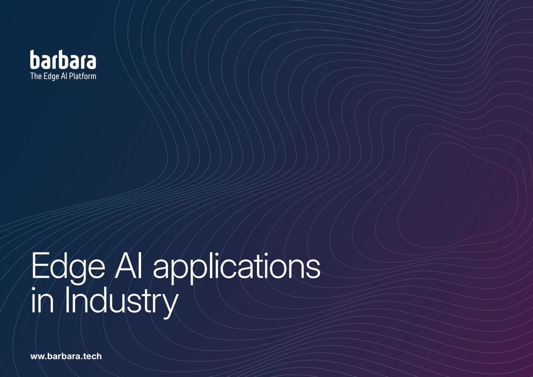 Barbara - The Edge AI Platform