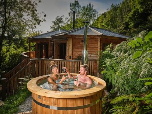 Luxury Dog-Friendly Treehouse Stays in North Devon | Sleepy Owl