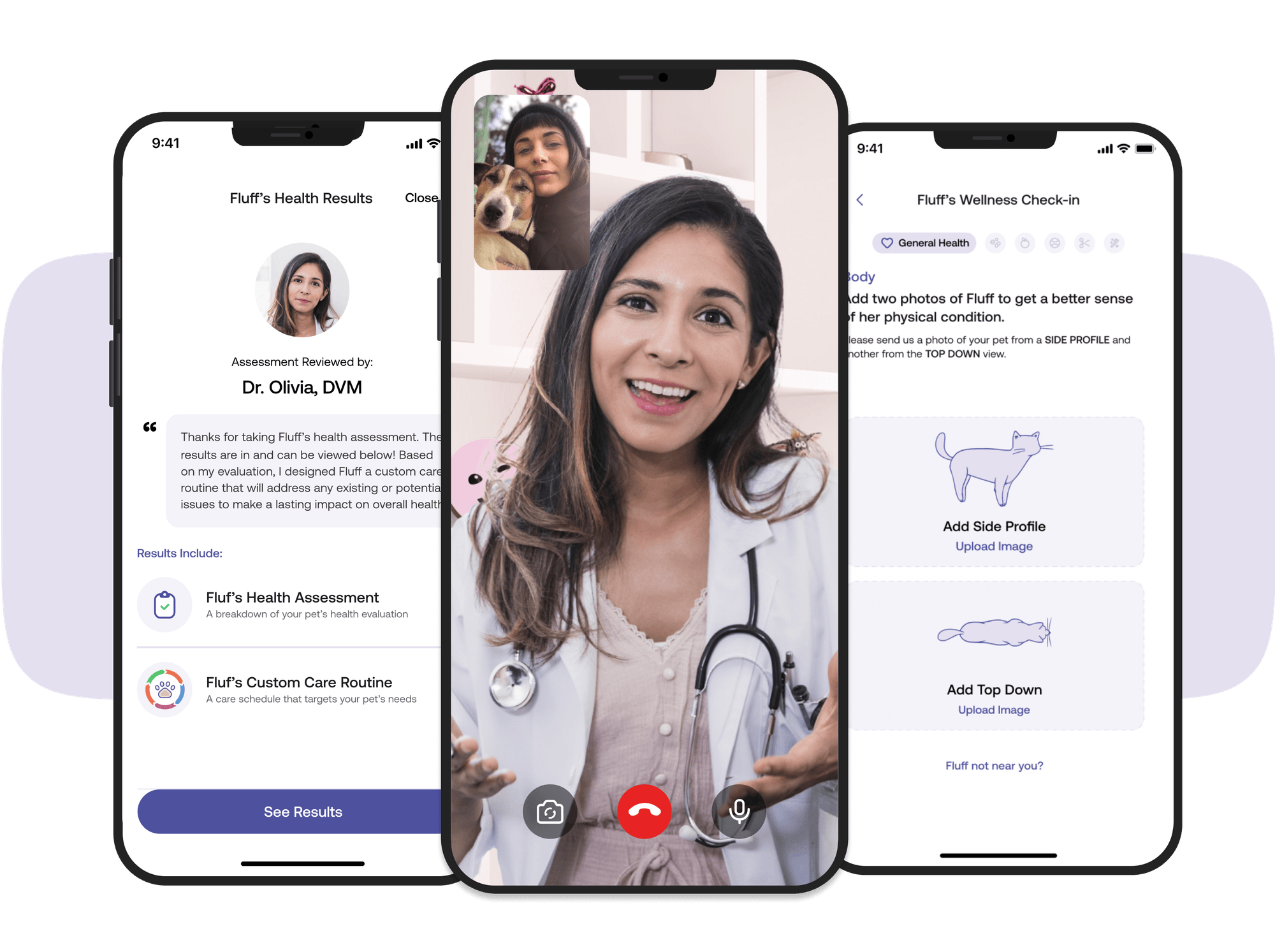 Pawp | Ask An Online Vet Anything 24/7