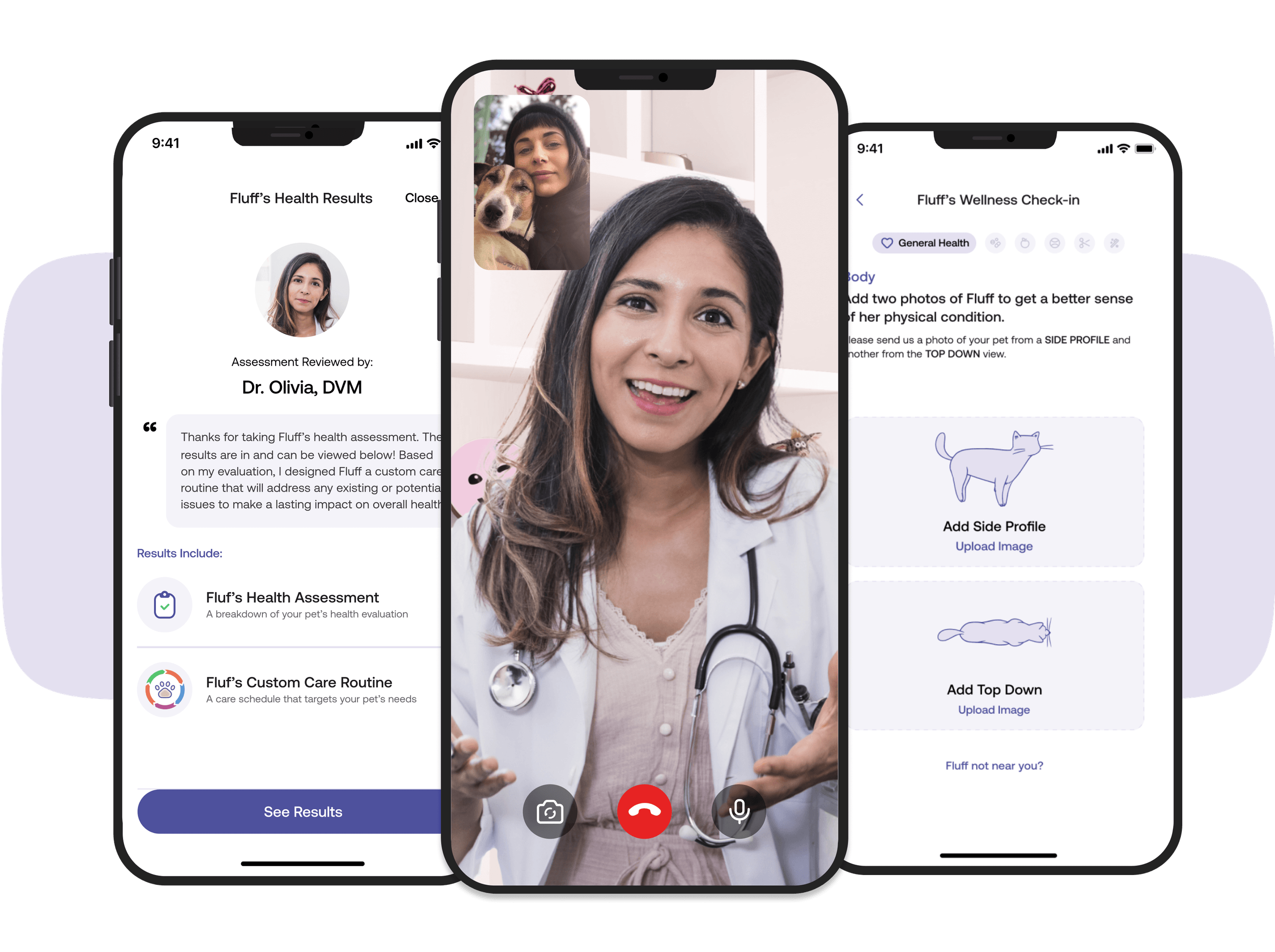 Pawp | Ask An Online Vet Anything 24/7