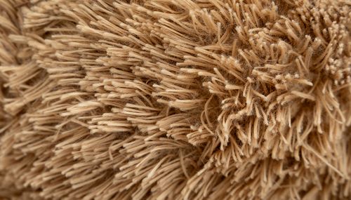 European Flax™
