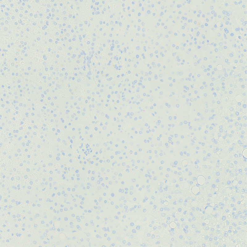 Molecular Instruments