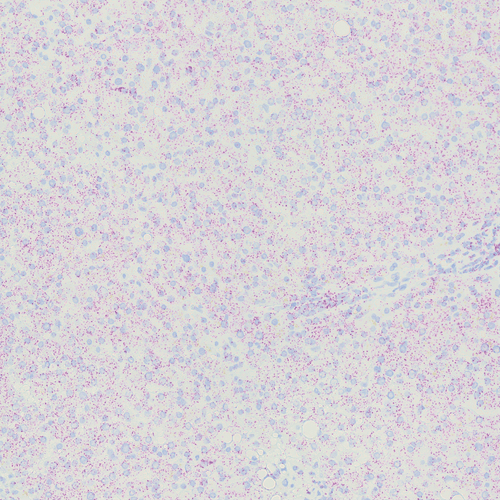 Molecular Instruments