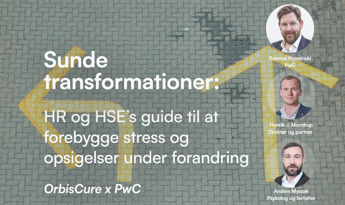 Sunde Transformationer: HR og HSE’s guide til at forebygge stress og ...