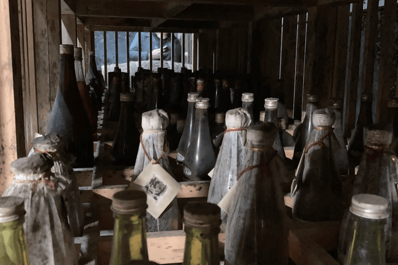 Koshu: The Unique Charm of Aged Sake