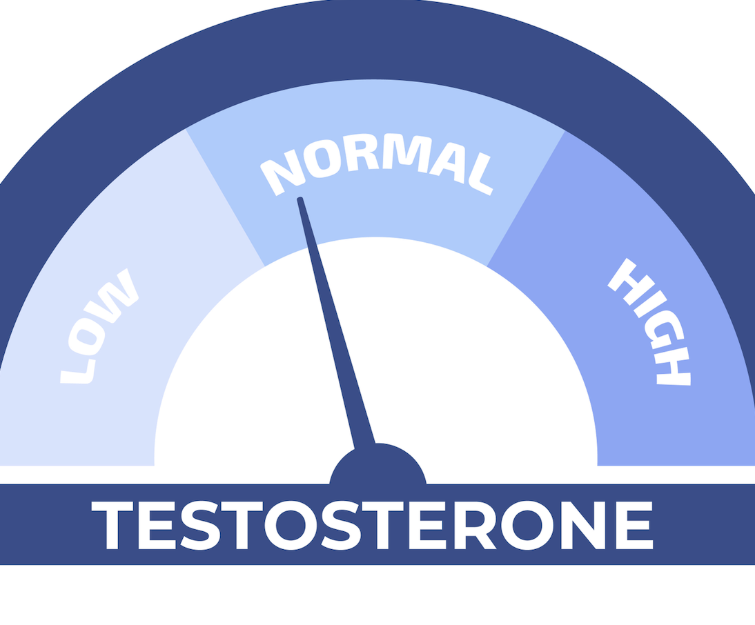 How do testosterone levels change throughout the day: Highs and lows