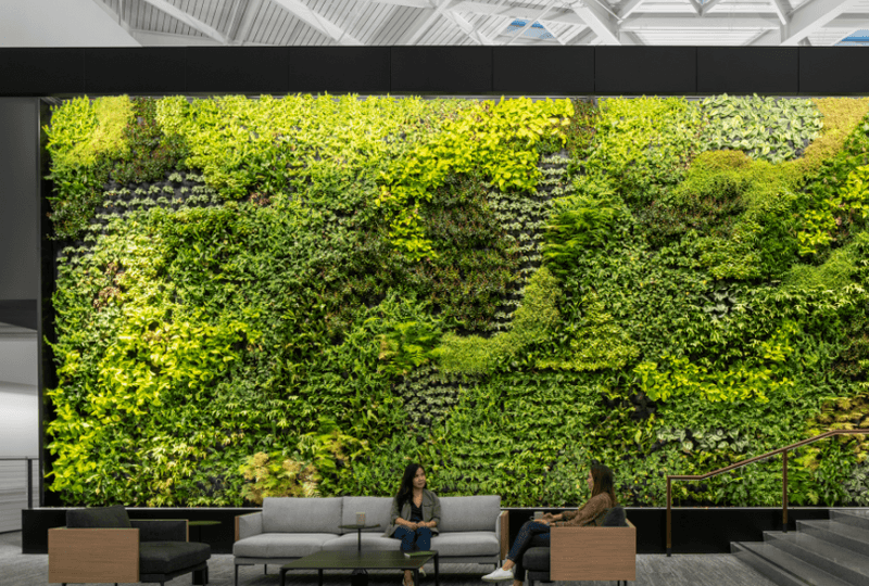 Living Walls, Plantscapes & Green Wall Design | Habitat Horticulture ...