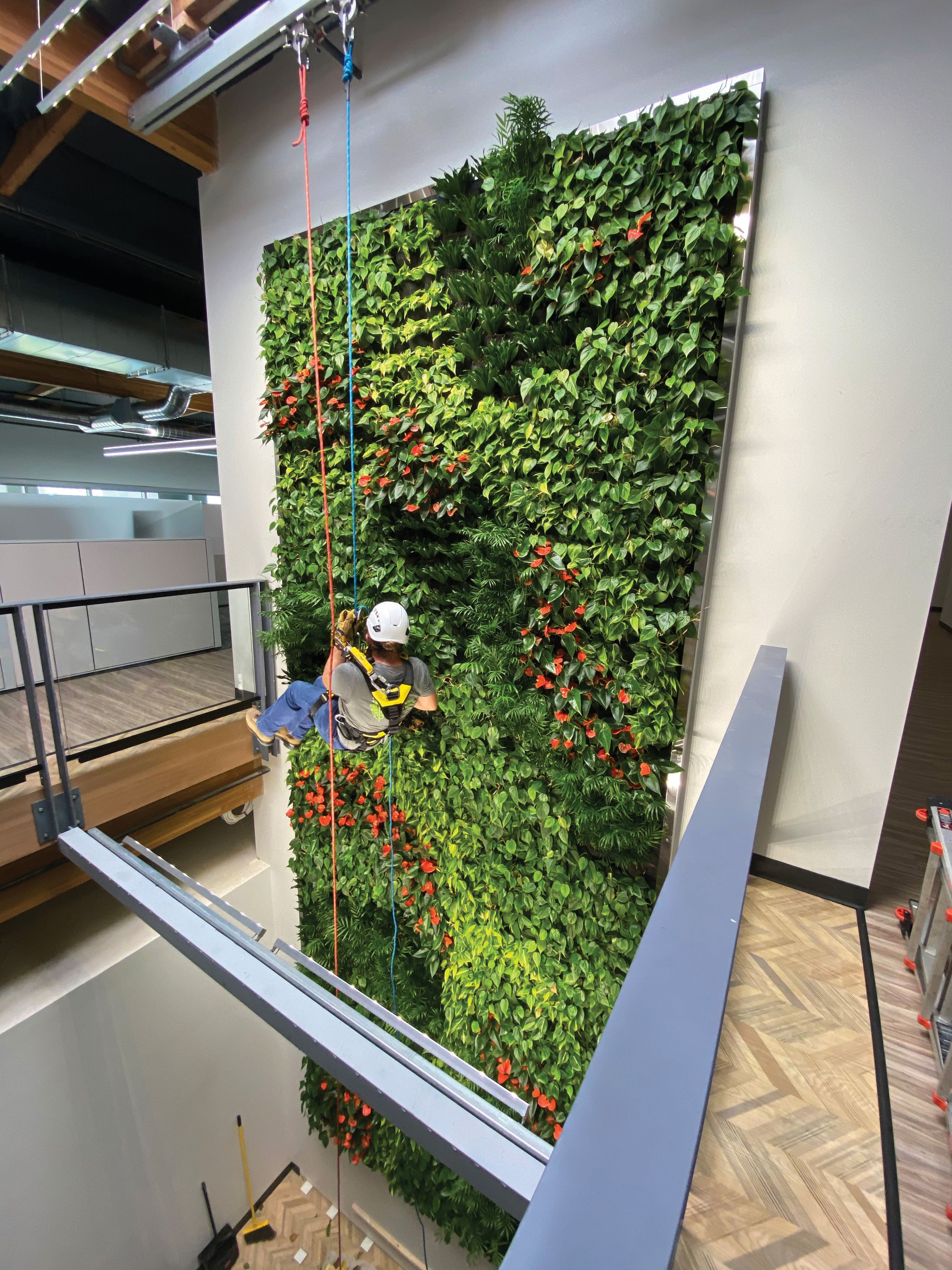 Living Wall Design & Installation Process | Habitat Horticulture San ...
