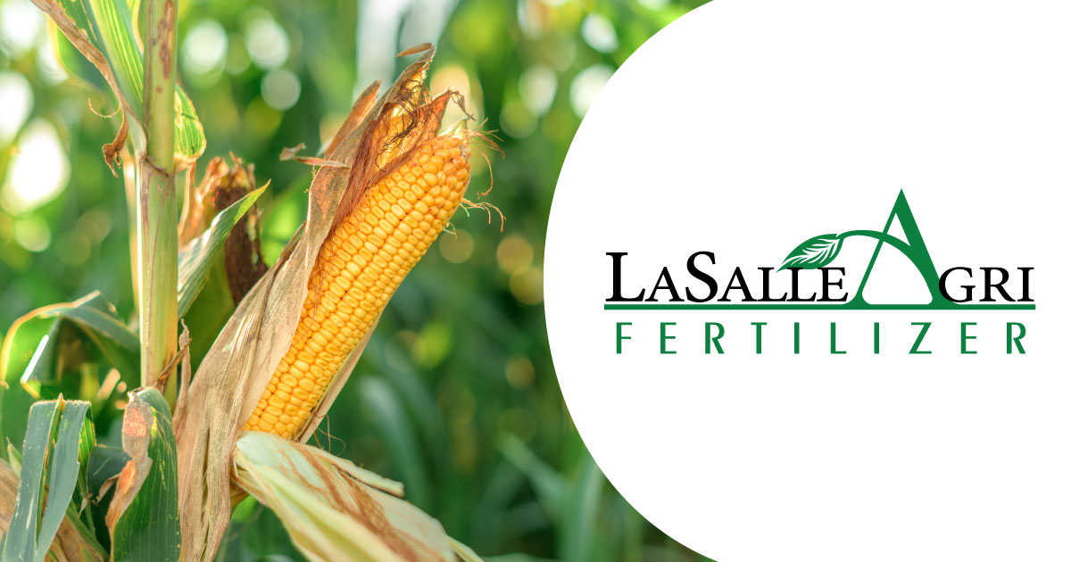 AgroBoost vs. MAP Fertilizer | What's The Difference?