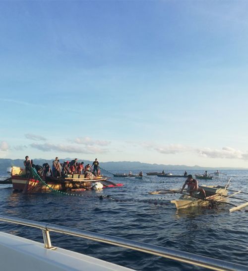 Tañon Strait Protected Seascape