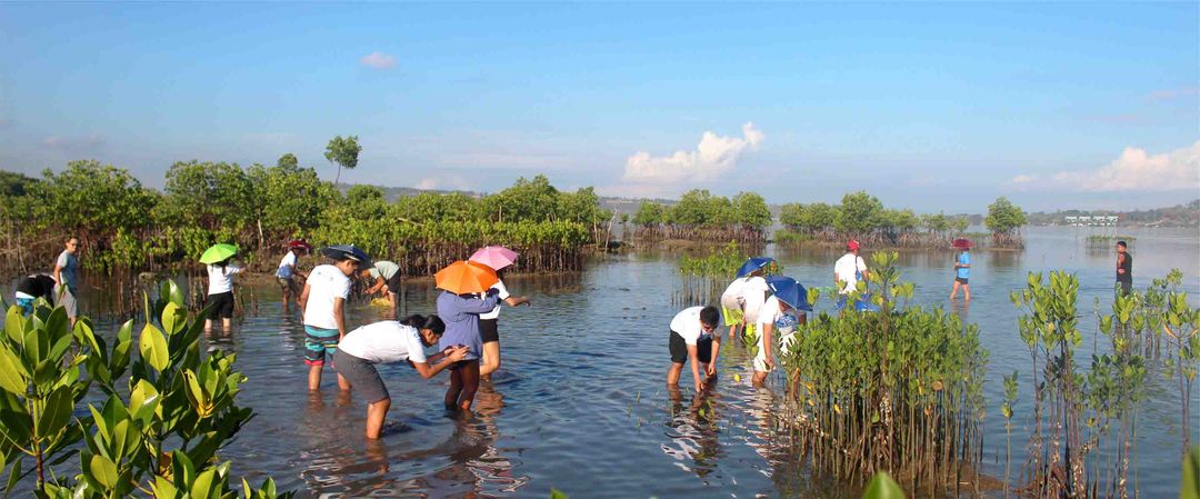 Tañon Strait Protected Seascape