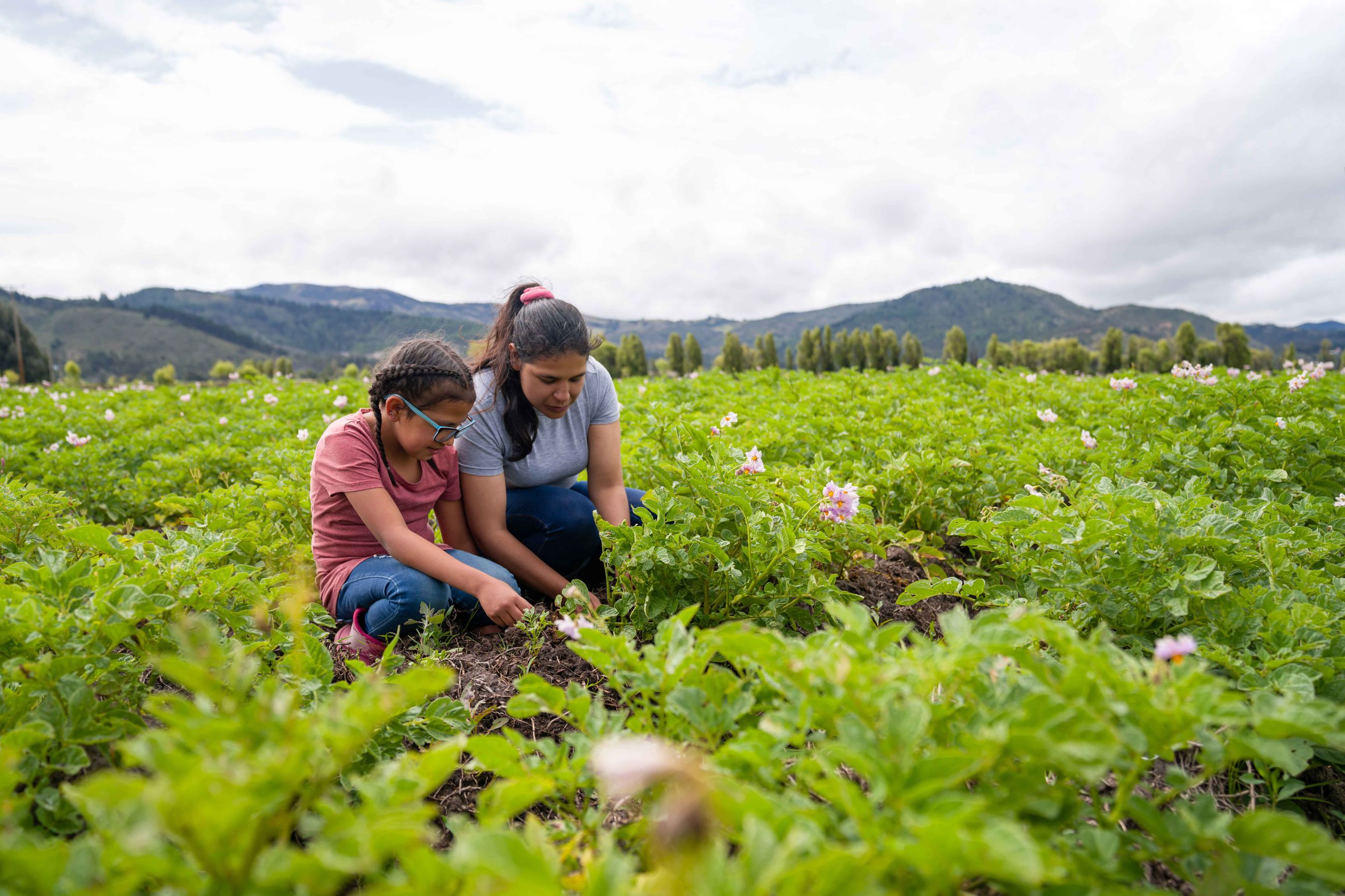 The International Foundation