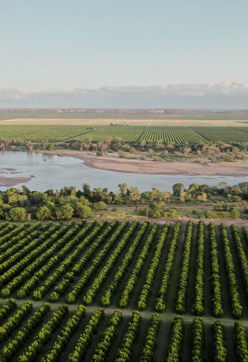 Home of Verdant Orchards