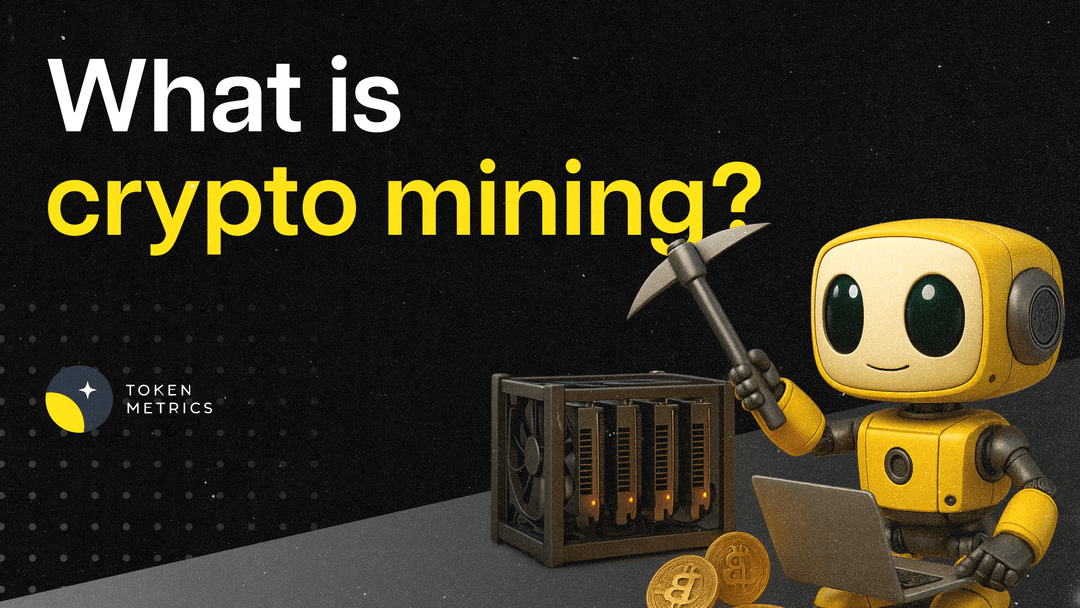 8 Best Crypto Exchange APIs for Developers and Traders