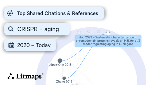 Litmaps for Professionals
