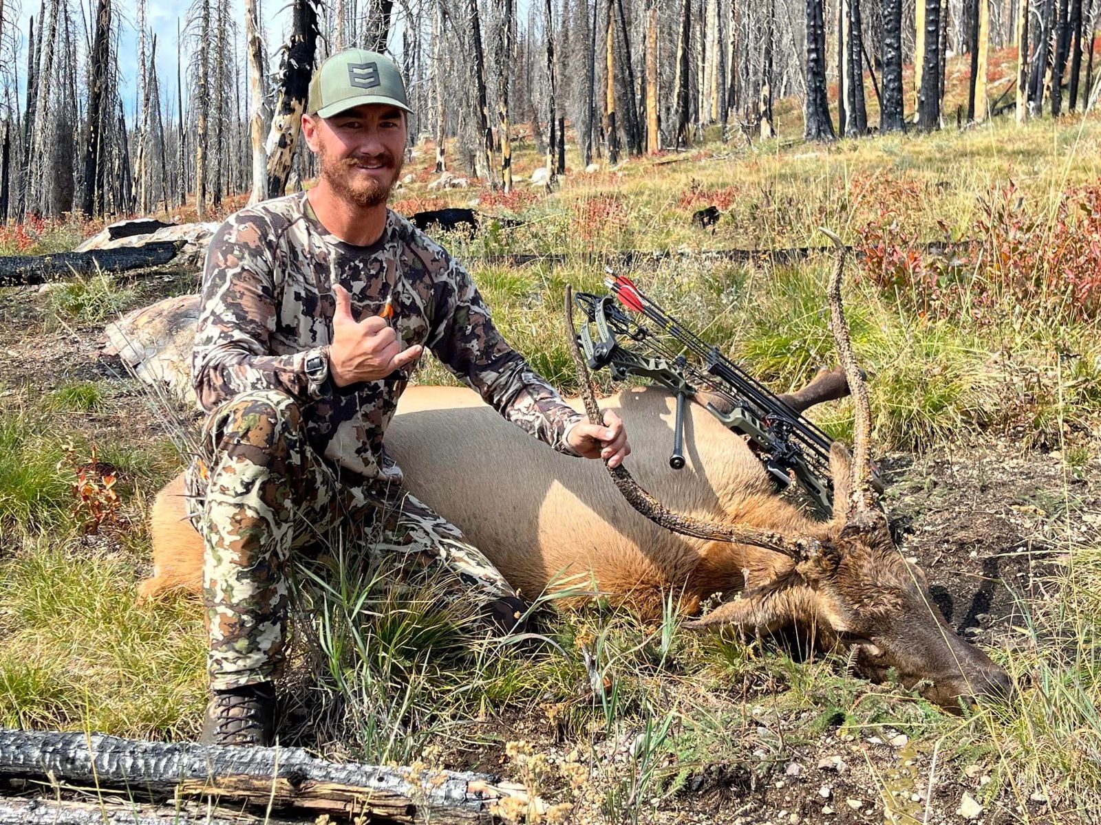 Idaho Elk Hunting, Idaho Hunting Outfitters & Idaho Hunting Guides ...