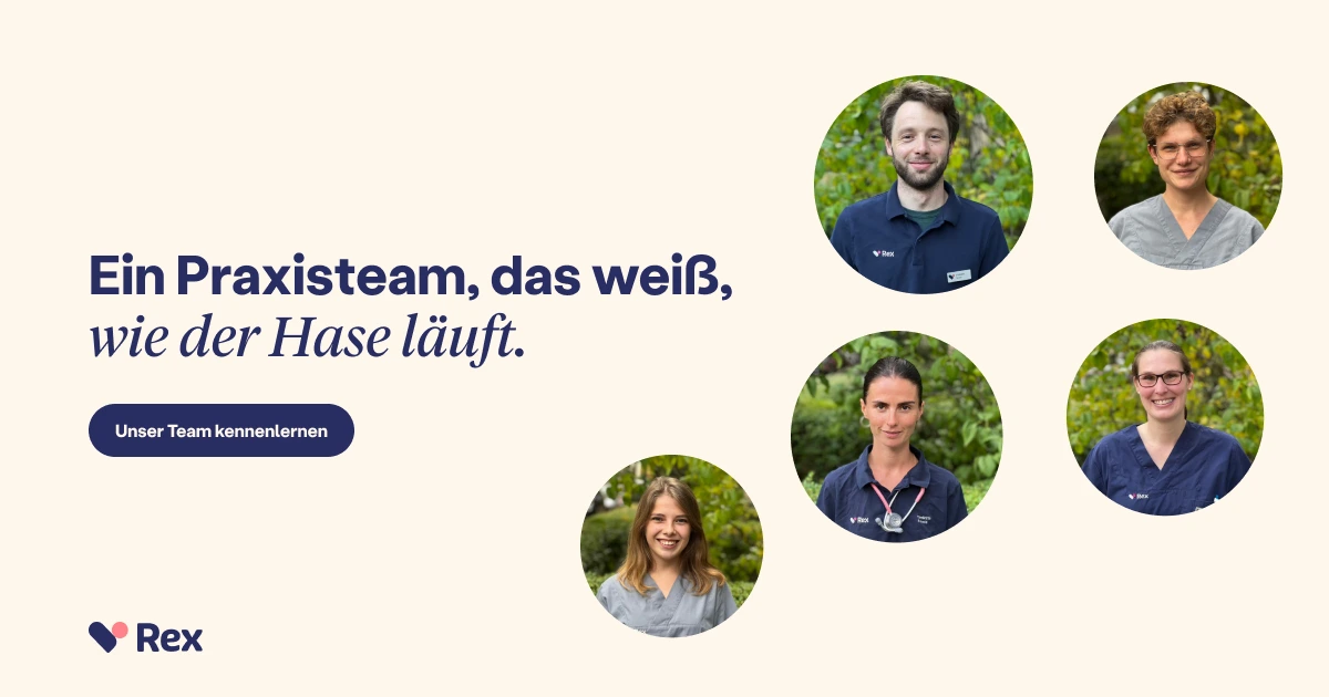Rex - Unser Praxisteam