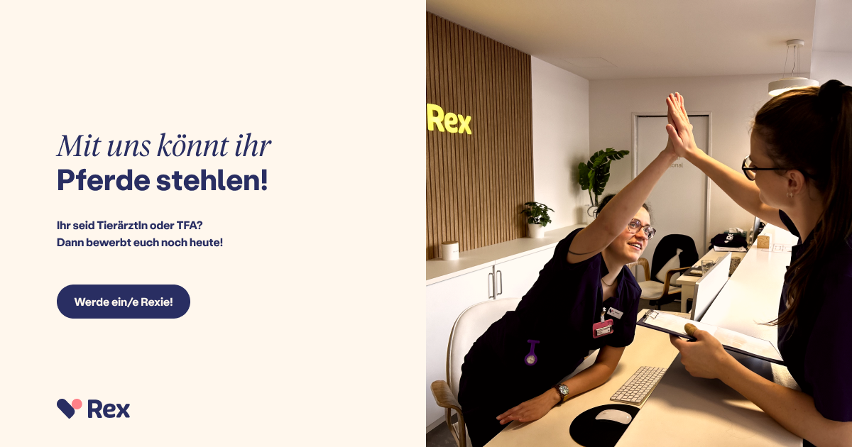 Rex - Karriere