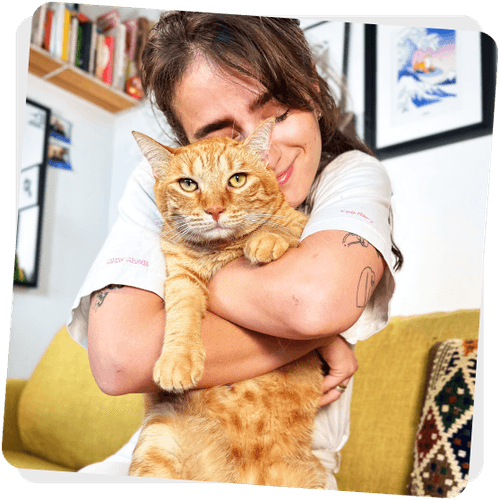 Dalma | Katzenversicherung