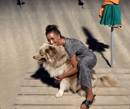 Pourquoi mon chien me colle plus que d'habitude