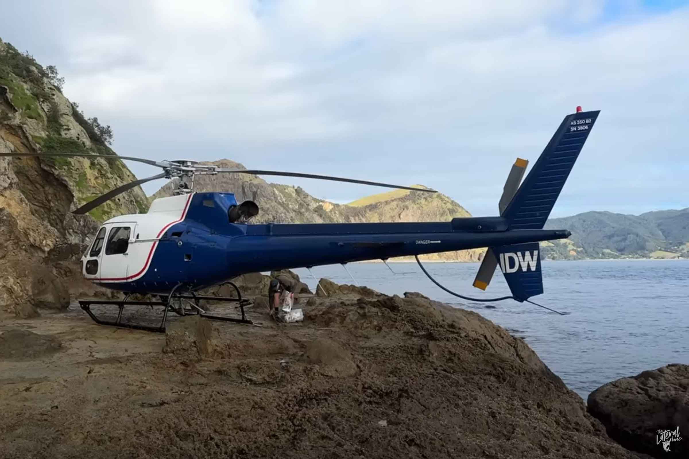 The Lateral Line: August 2023