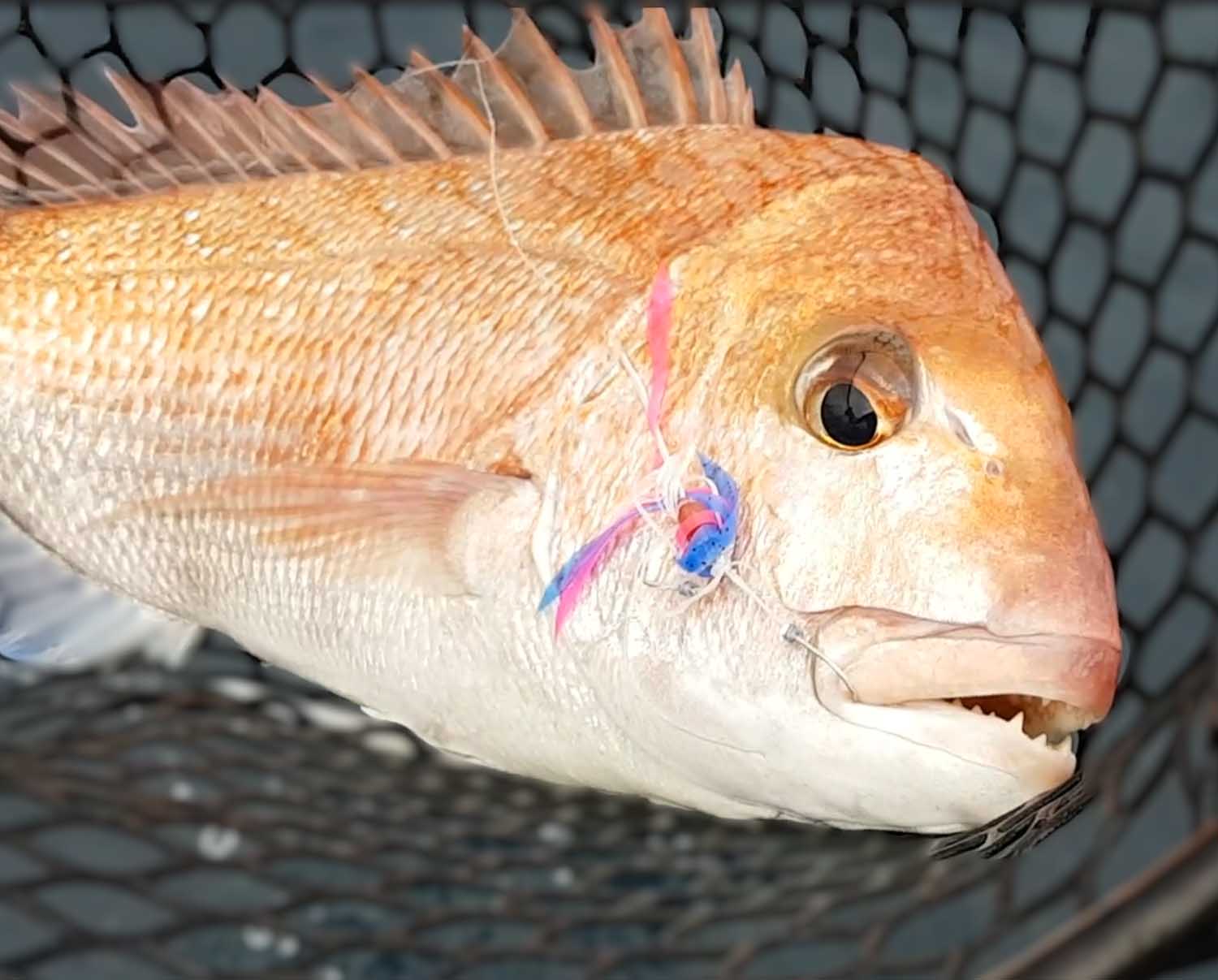 Fishing Report for The full moon, Spring and Father's Day, what’s ...