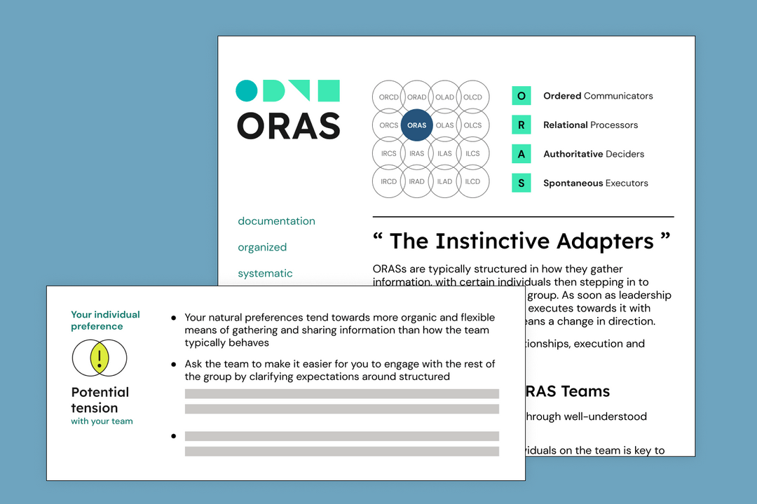 TeamDynamics: Personality Test for Modern Teams | Team Building Tool
