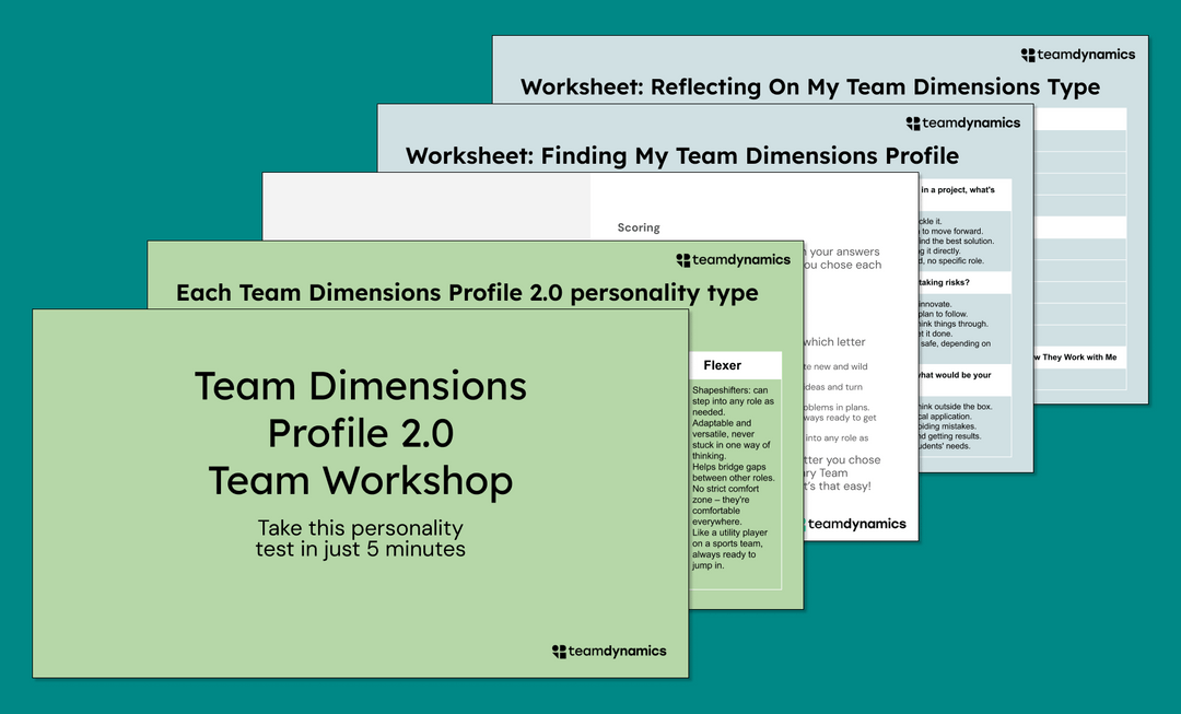 Team Dimensions Profile 2.0 Worksheet | Free Personality Test Resource