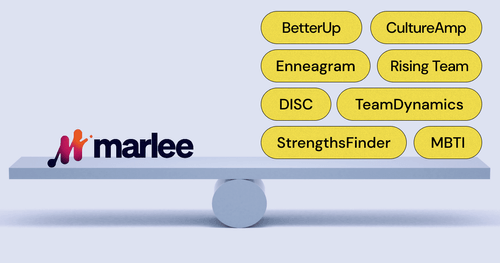 Maximizing Team Performance: A Deep Dive into MBTI for Team Building
