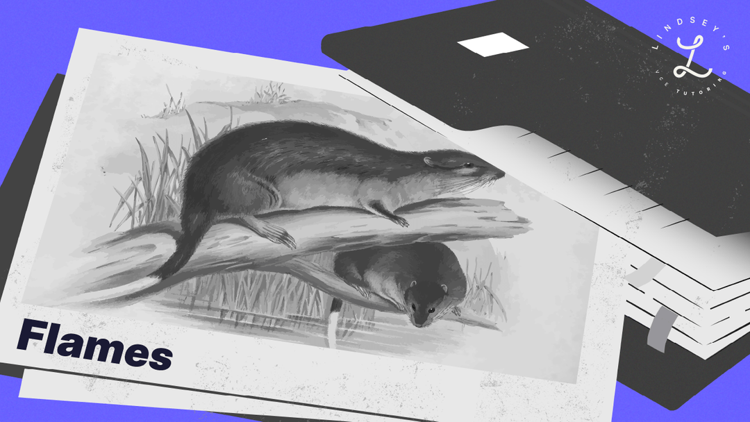 An Ultimate Guide to Flames