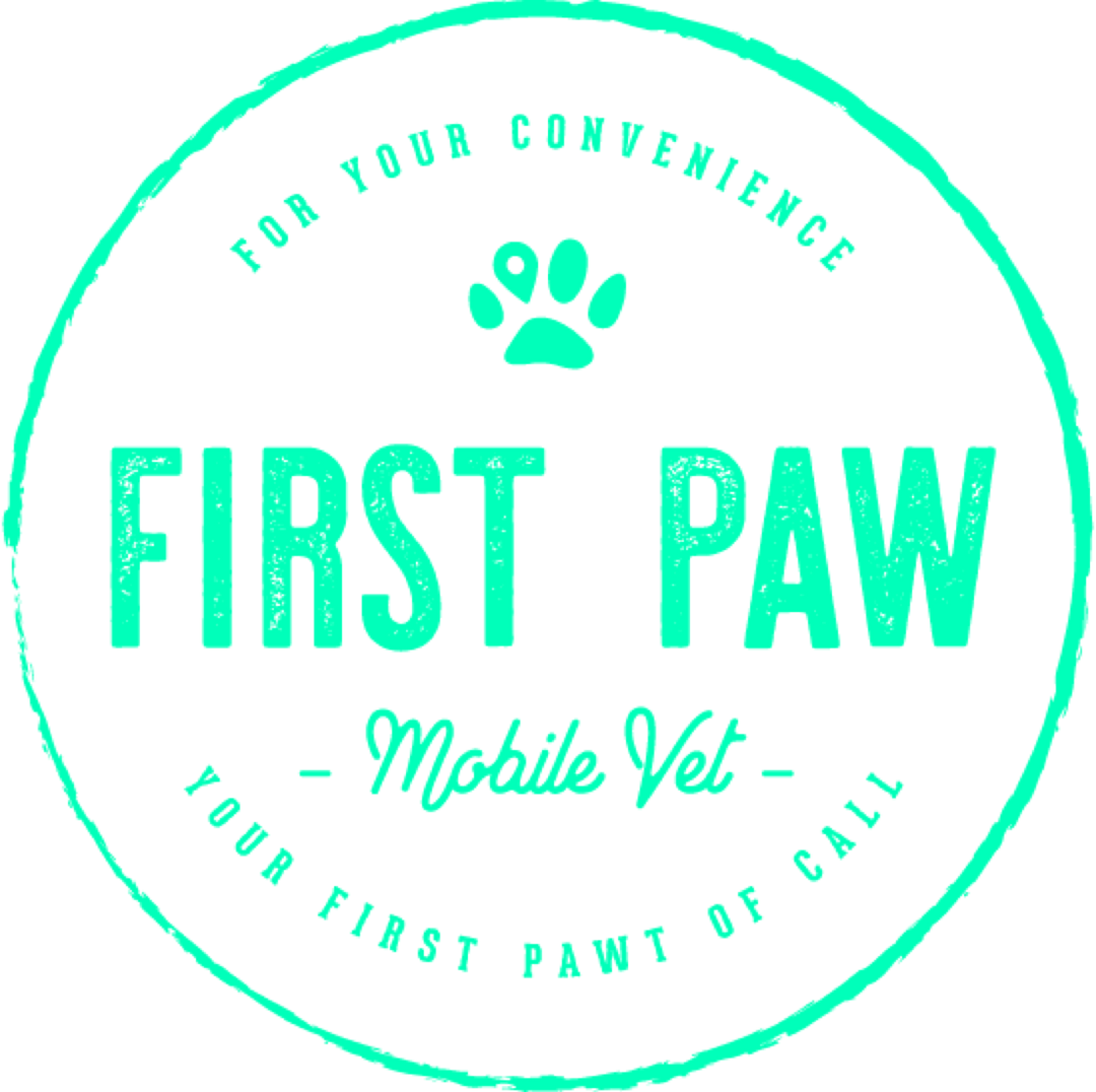 Mobile Vet Melbourne | First Paw | Home Visits