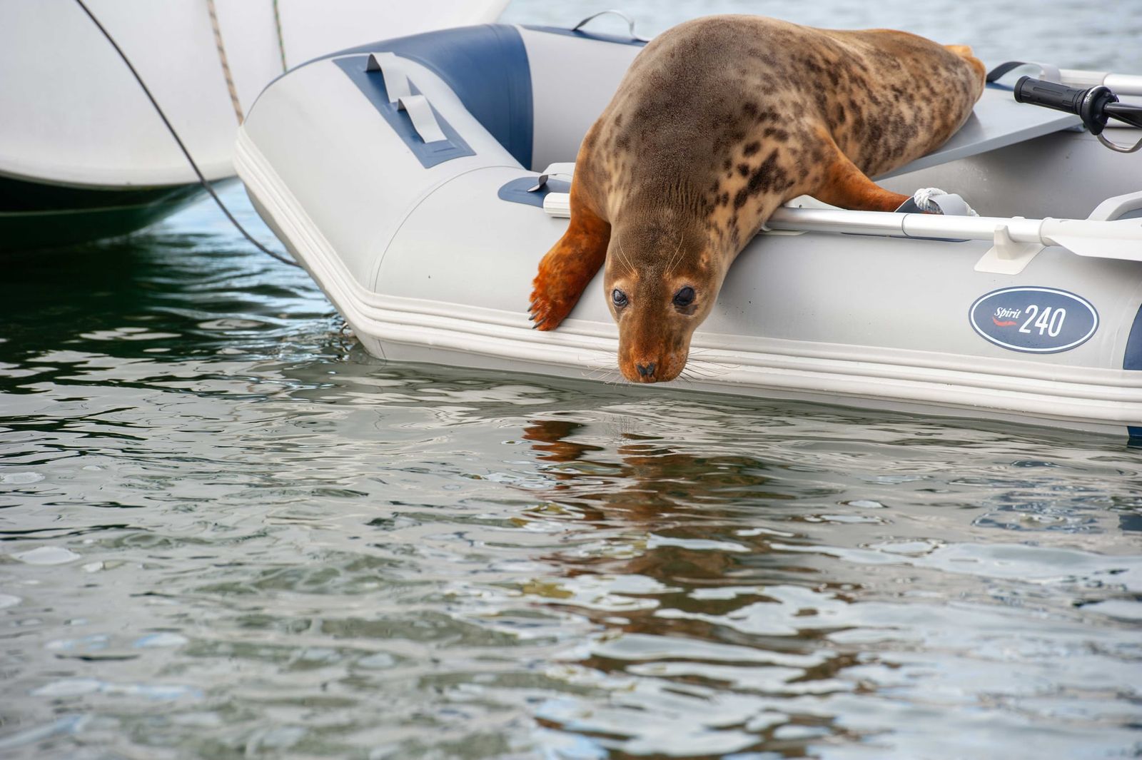 Seago Group - Leisure & Commercial