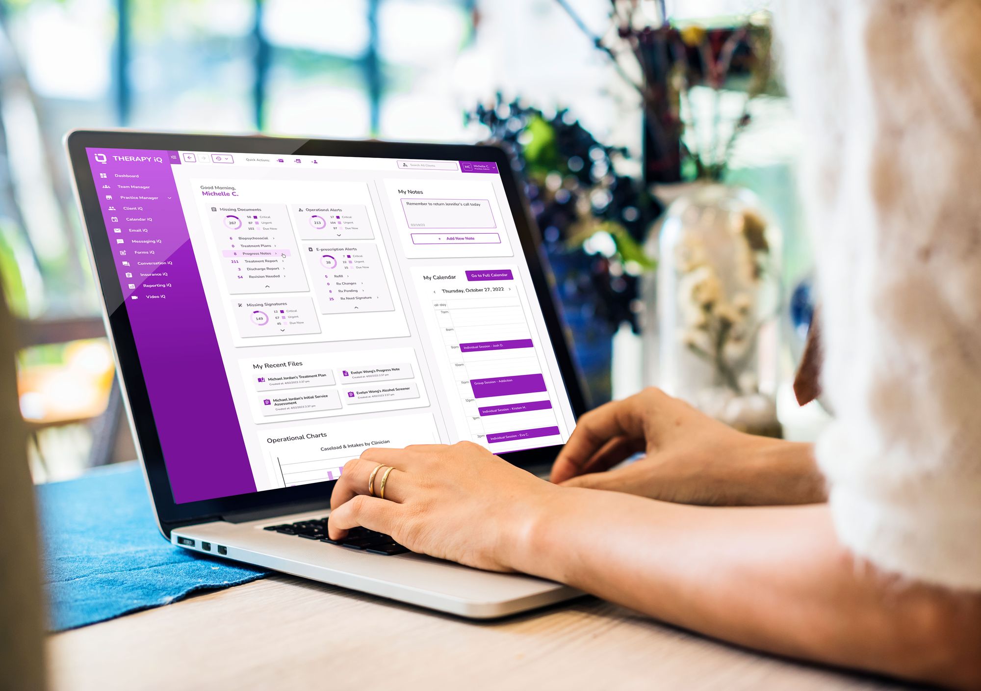 AI-Powered All‑in‑One Practice Management Platform | Therapy iQ