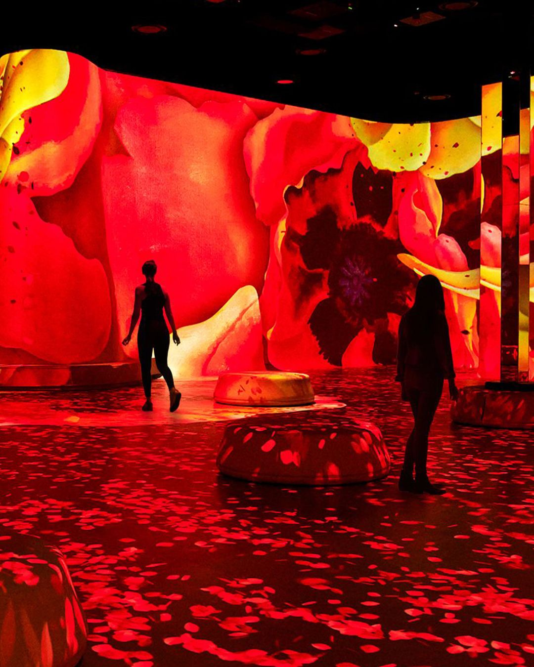 Illuminarium | Las Vegas