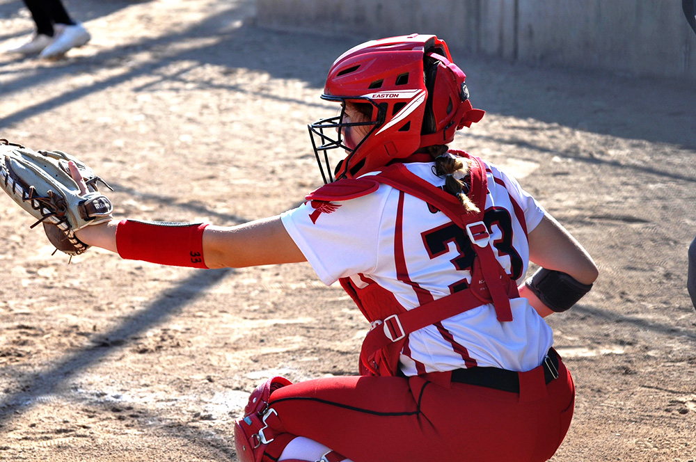 Washington Avengers Baseball