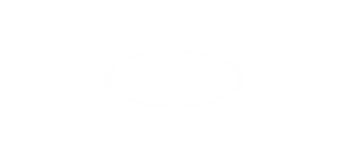 Pynt: Effortless API Security Testing