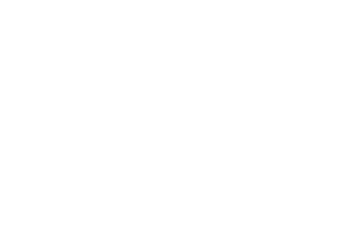 FIP vs NPT: A Simple Guide to Threads and Pipe Fittings | Homeaglow