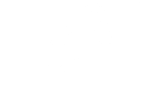 FIP vs NPT: A Simple Guide to Threads and Pipe Fittings | Homeaglow