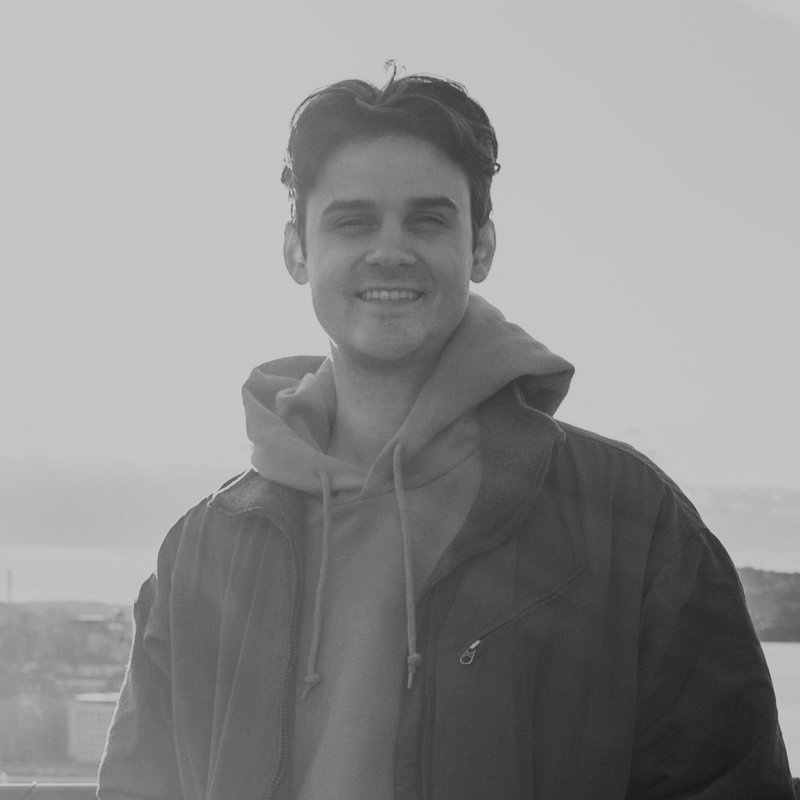 Nom Nom vs. The Farmer’s Dog vs. Ollie: My Dog Reviewed All 3, But ...