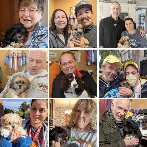 Countryside Kennels - Top Quality Puppies from our Family to Yours